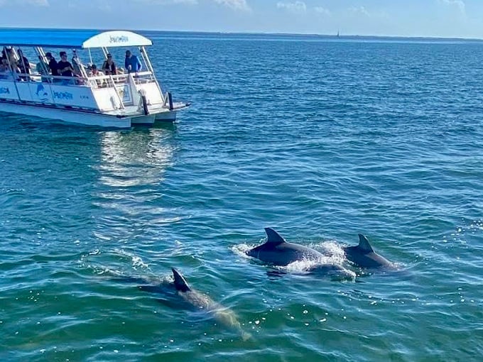 the pensacola beach resort 8