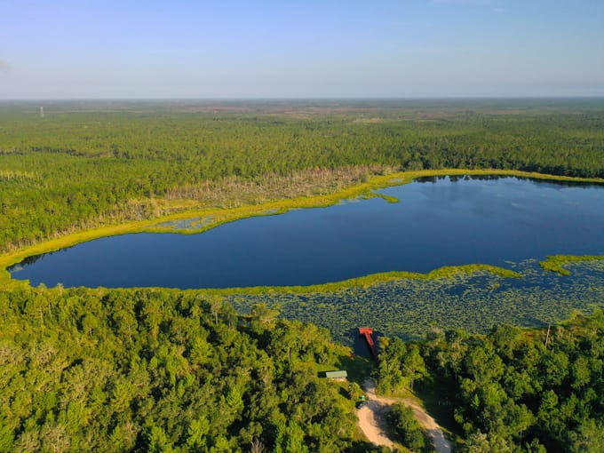 tiger bay state forest 5
