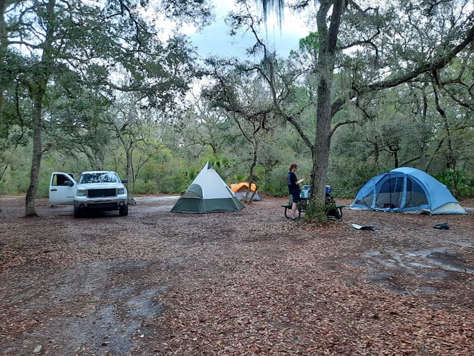 tiger bay state forest 7