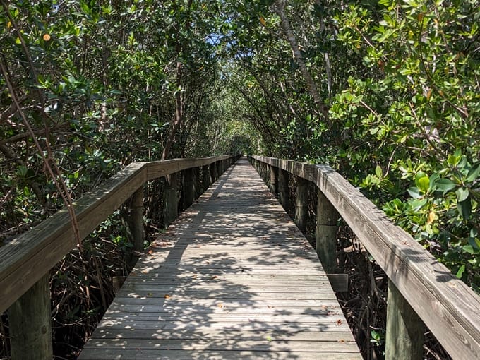 toni robinson waterfront trail 2