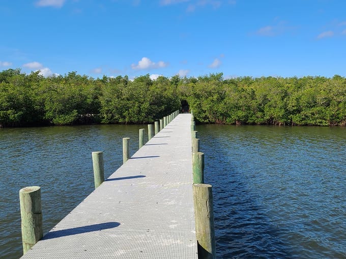 toni robinson waterfront trail 7