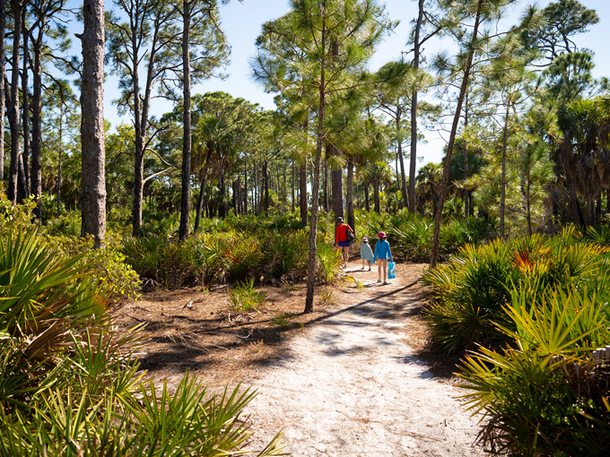 trail trekking triumphs