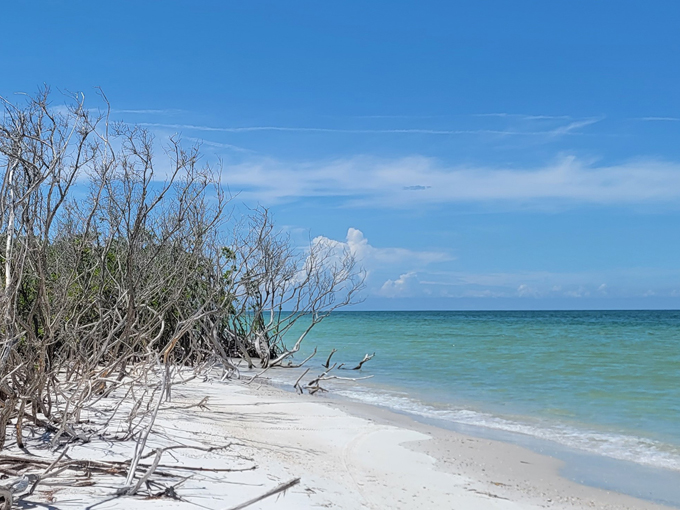 unspoiled and unforgettable