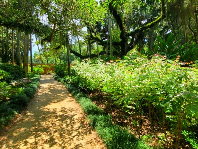 washington oaks gardens state park 3