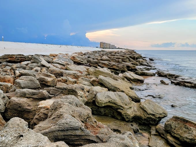 washington oaks gardens state park 5