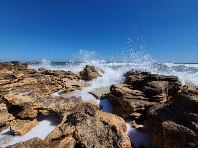 washington oaks gardens state park 6