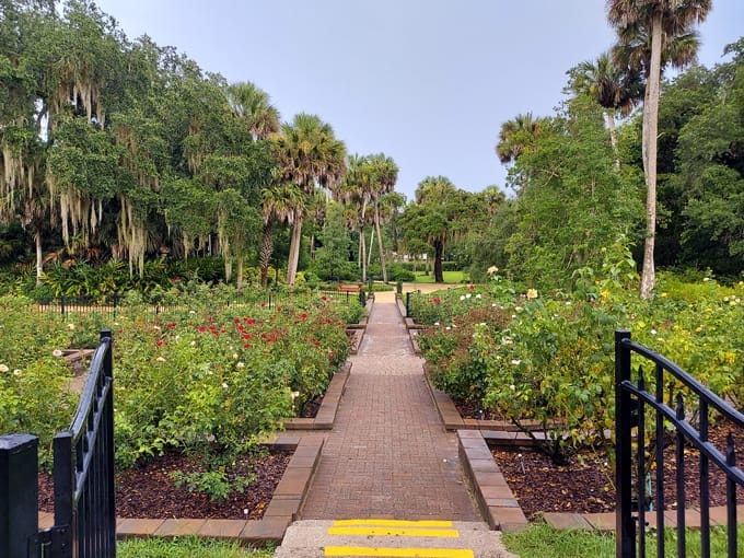 washington oaks gardens state park 8