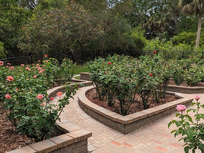 washington oaks gardens state park 9