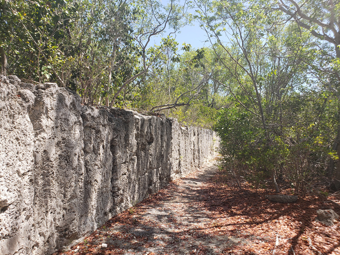 windley key fossil reef geological state park 4
