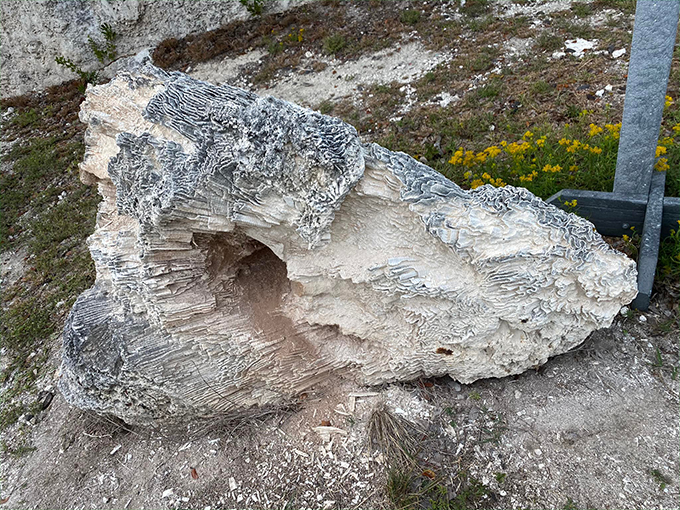 windley key fossil reef geological state park 5