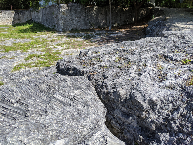 windley key fossil reef geological state park 6