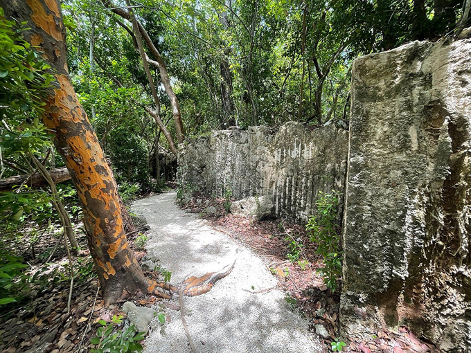 windley key fossil reef geological state park 8