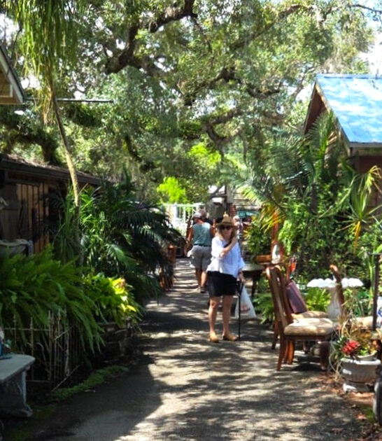 antique florida theme park ftr