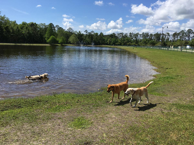 award winning florida campsites 10