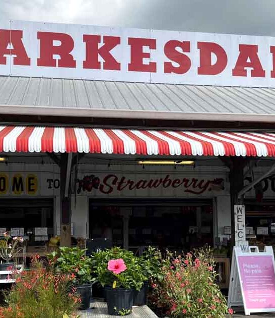 best strawberry shortcake florida ftr