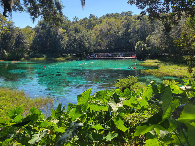 central florida road trip 2