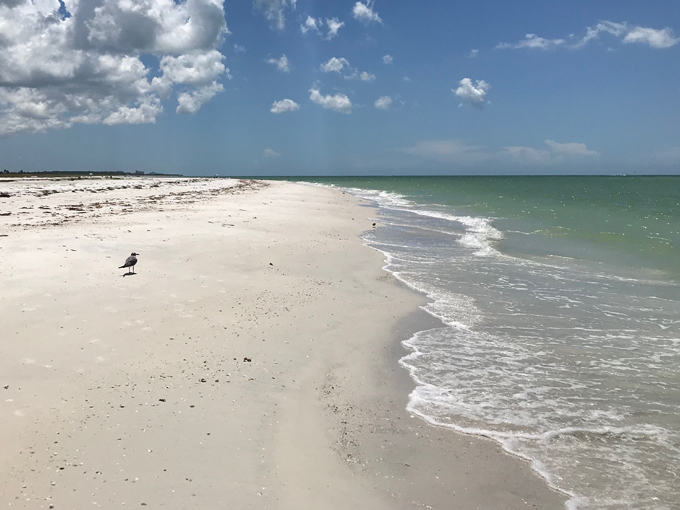 central florida road trip 5