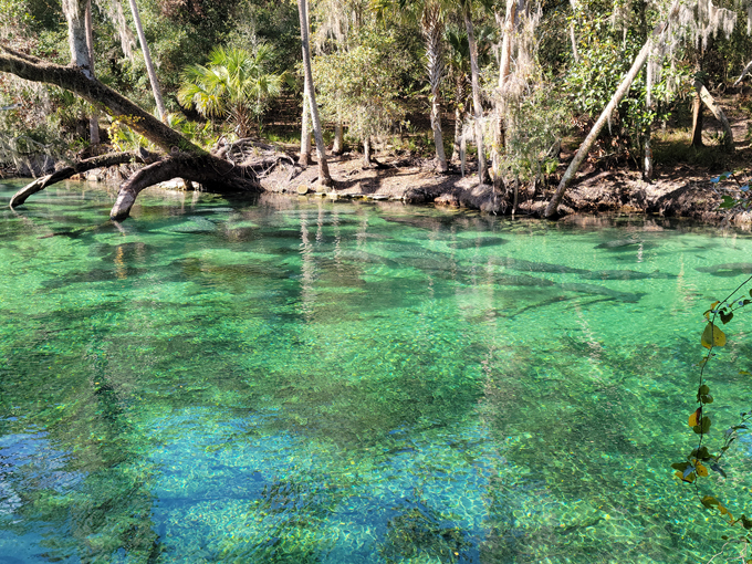 central florida road trip 9