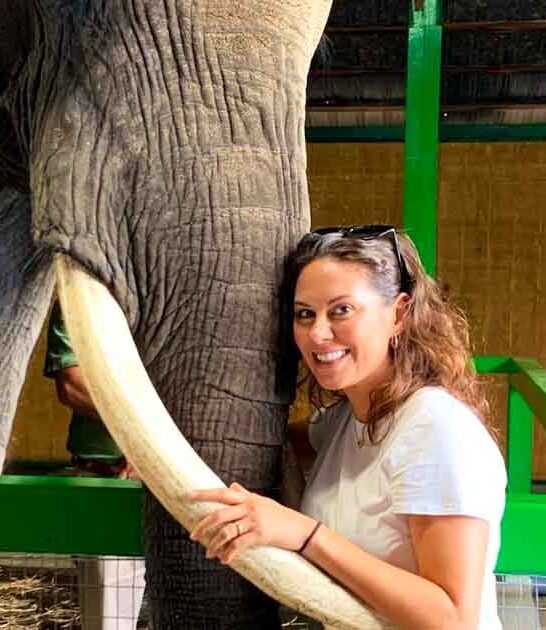 elephant ranch florida sanctuary ftr