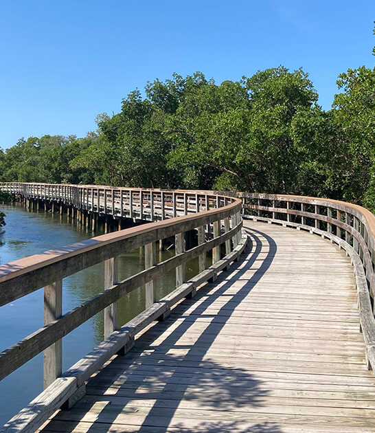enchanting coastal preserve florida ftr