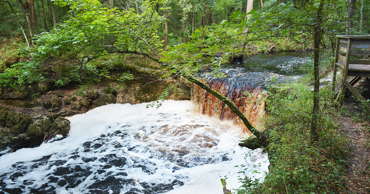 falling creek falls florida ftr