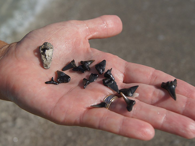 Famous Claims Towns Florida 8