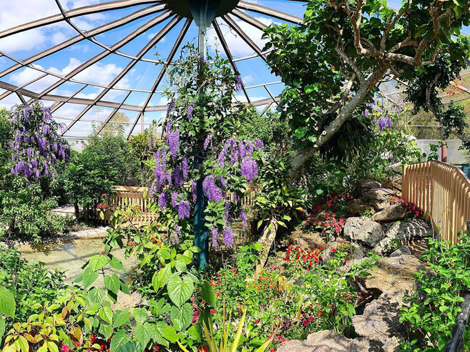 Famous Claims Towns Florida 9