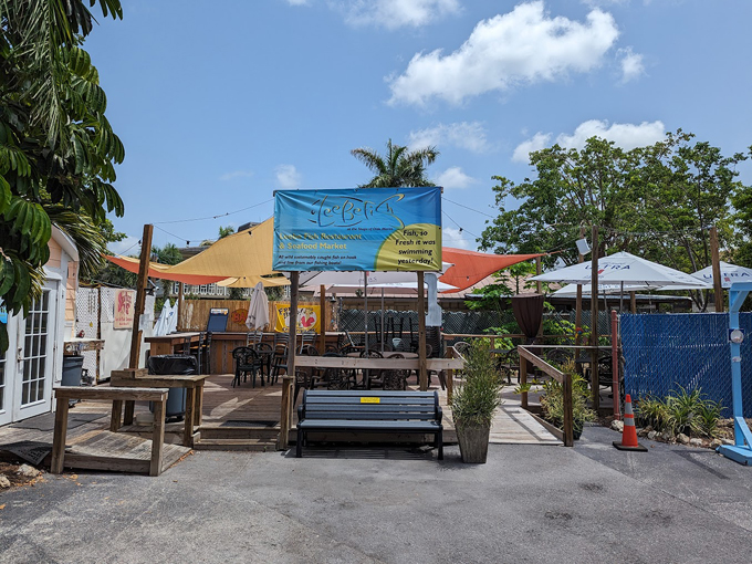 fish sandwiches florida 1