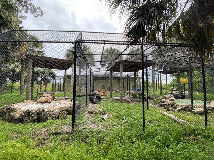 florida affordable road trip 5