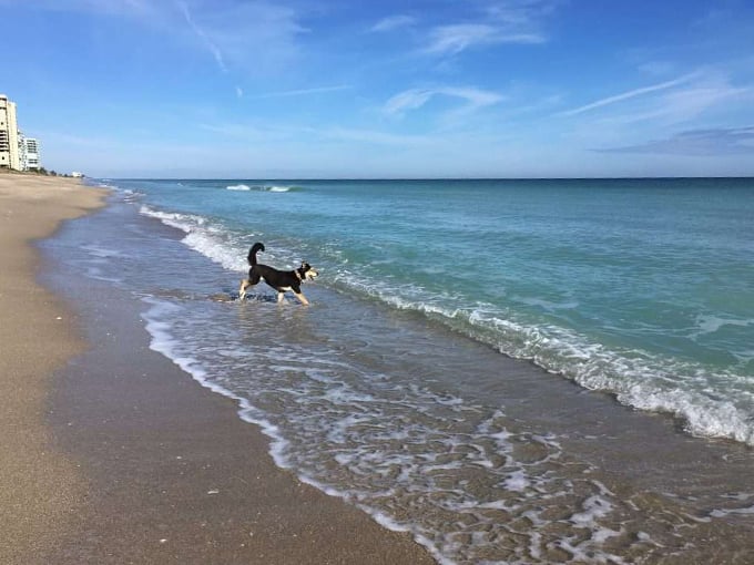 florida affordable roadtrip 6