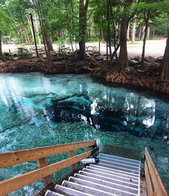 florida beautiful natural spring ftr