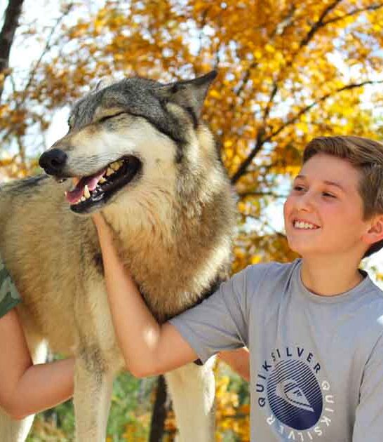 florida fairytale road trip ftr