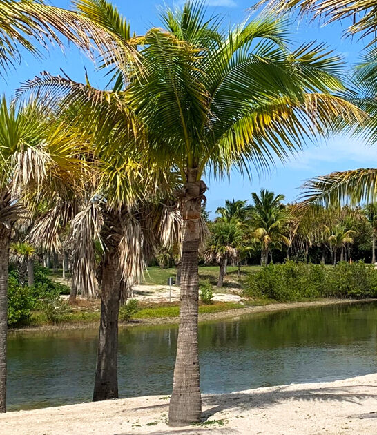 florida intracoastal waters ftr