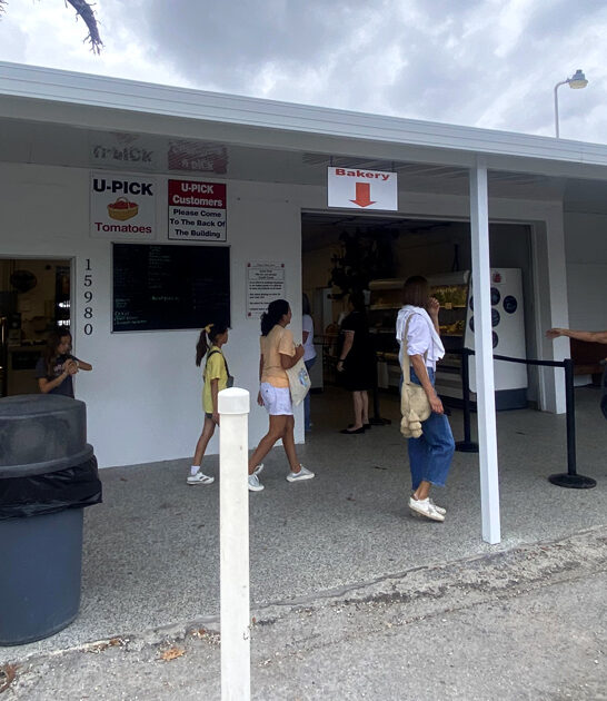 florida knaus berry farm ftr