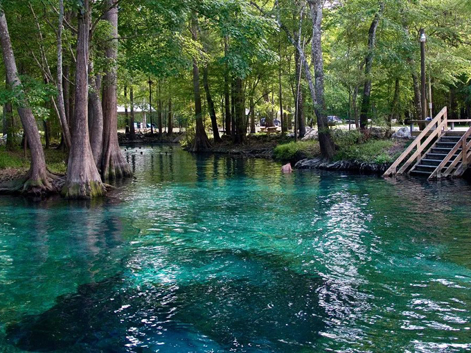 florida locals explain 1