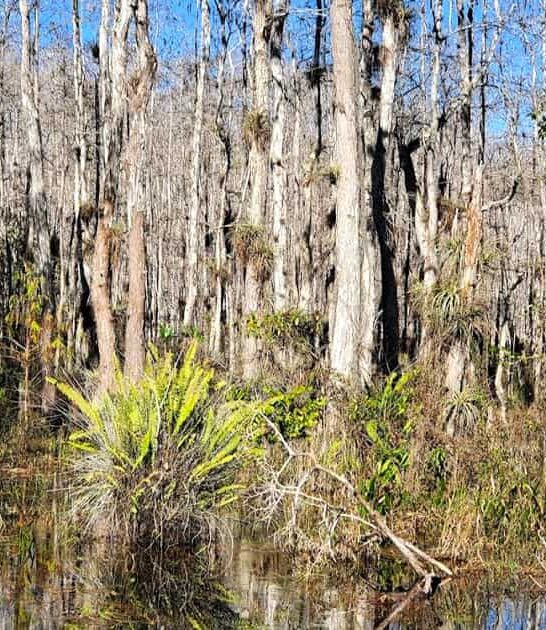 florida national parks list ftr