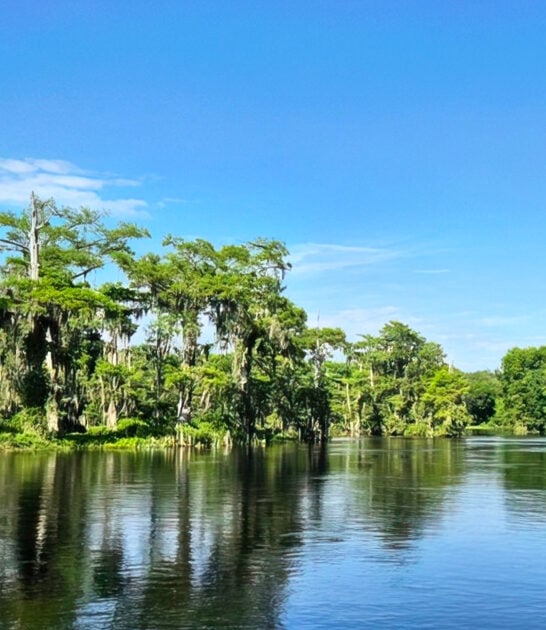 florida natural spring ftr