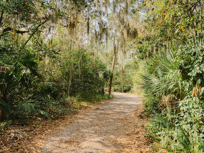 florida nature preserve 3
