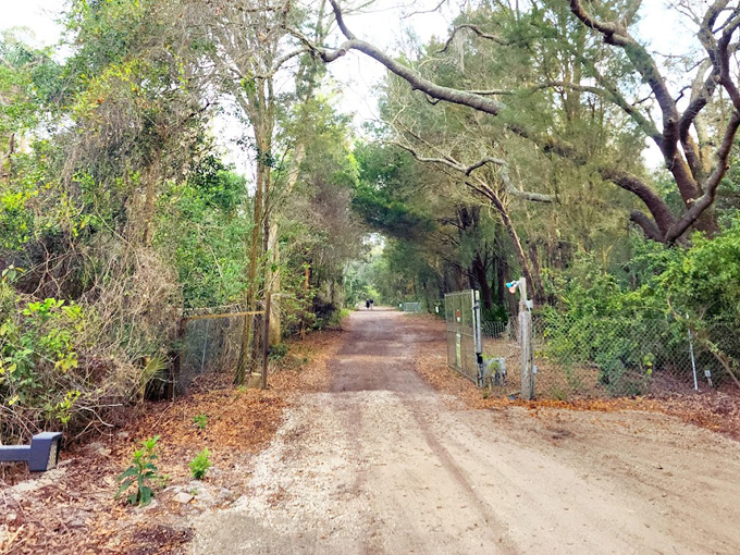 florida nature preserve 4