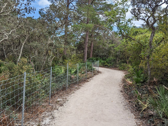 florida nature preserve 6