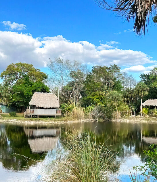 florida swamp monster campground ftr