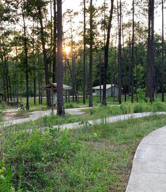 florida trail hidden waterfall ftr