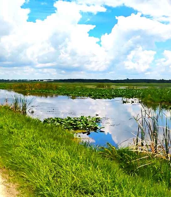 florida wilderness wildlife trail ftr