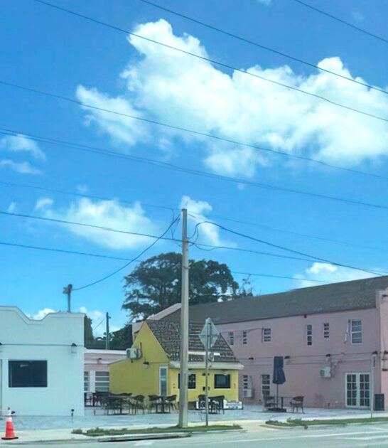 florida world famous pies ftr