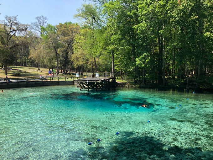 7 Ways To Make The Best Of A Weekend Trip To High Springs, Florida