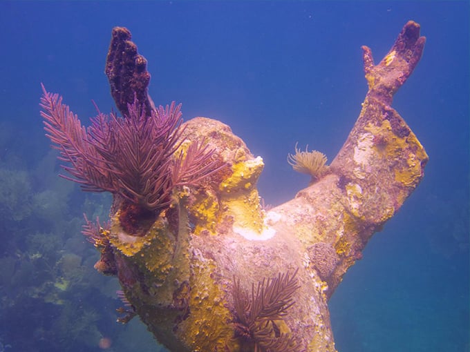 john pennekamp state park 3 1