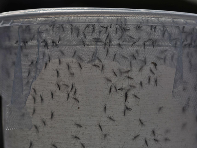 Life Lessons in Florida 3