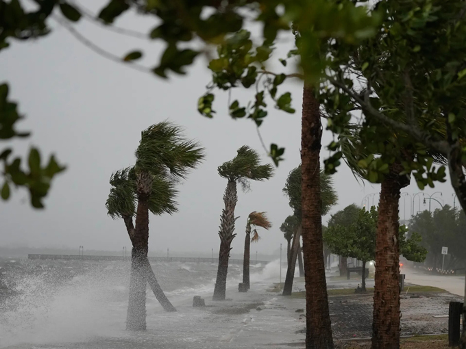 Life Lessons in Florida 8