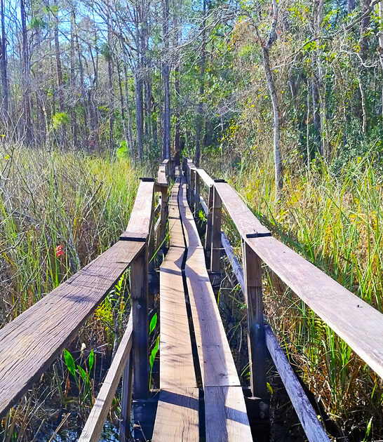 lockwood barr waterfall florida ftr