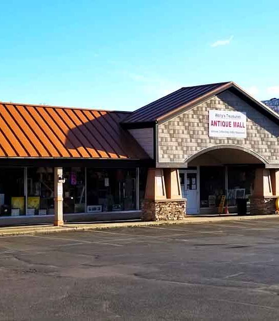 massive antique mall michigan ftr